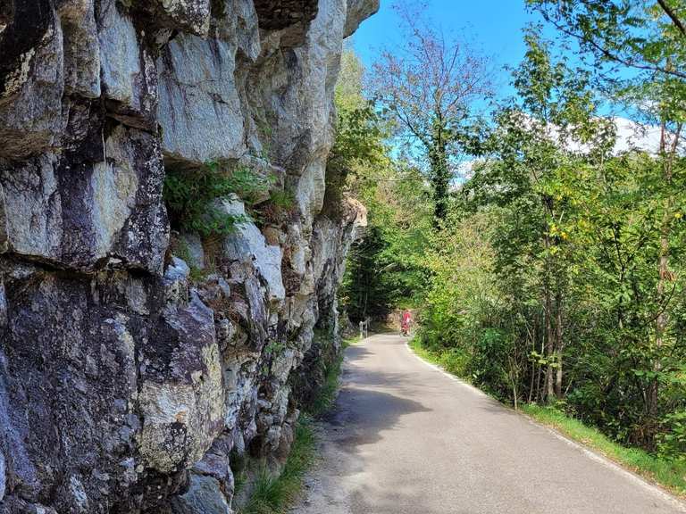 Réserve naturelle Bosco di Maia - Itinéraires vélo et carte | Komoot