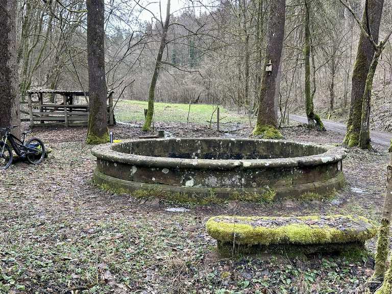 Aubach Quelle: Mountainbike-Touren und -Trails | komoot