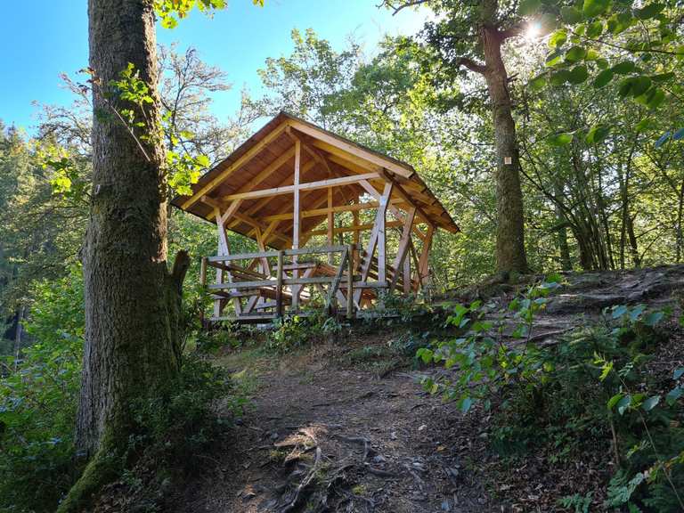 Altes Biberhabitat – Pavillon mit Aussicht Runde von Gusenburg ...