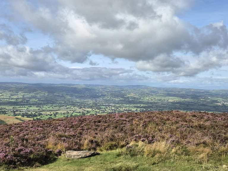Moel Arthur Routes for Walking and Hiking | Komoot