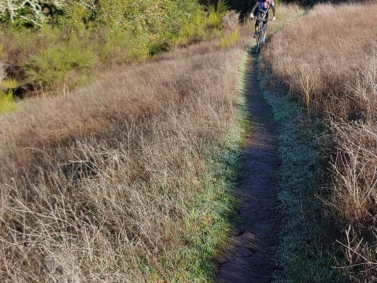 Fern Lake via Carolyn Day, Pine & Bay Trail loop — Sonoma Valley ...