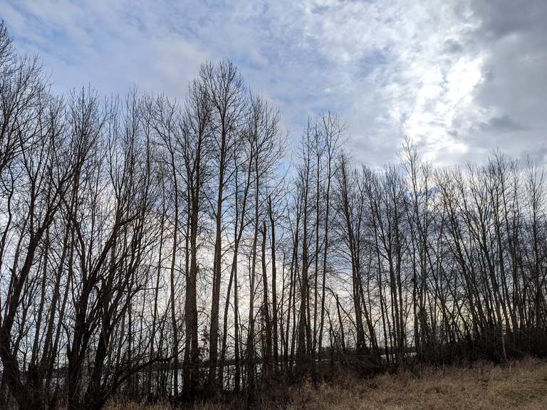 Vancouver Lake North Trail — Shillapoo Wildlife Recreation Area ...
