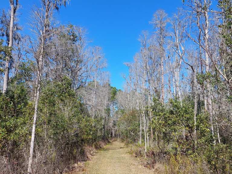 Brooker Creek Headwaters Nature Preserve Road Cycle Routes and Map | Komoot