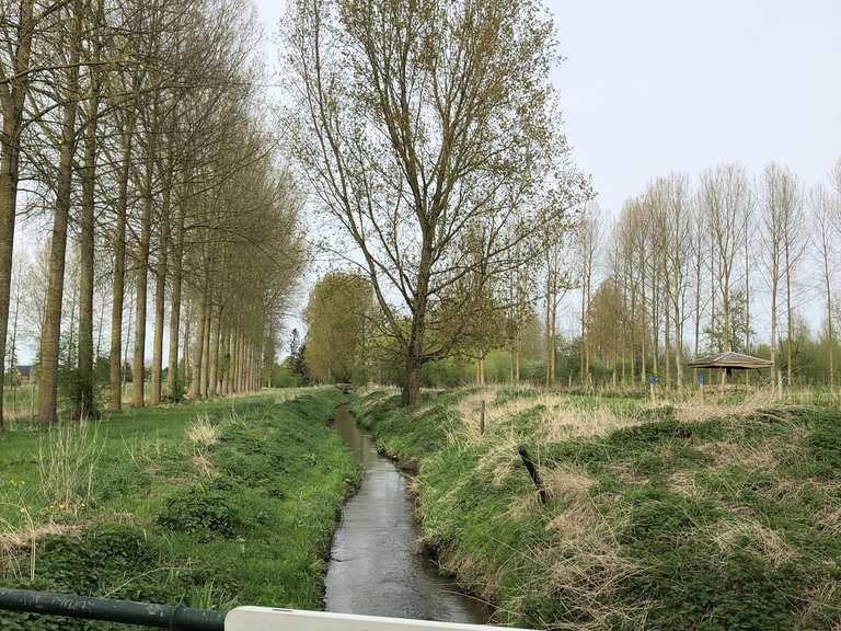 Fruit Valley – Wandelen langs beekje rondtocht vanuit Wilderen ...