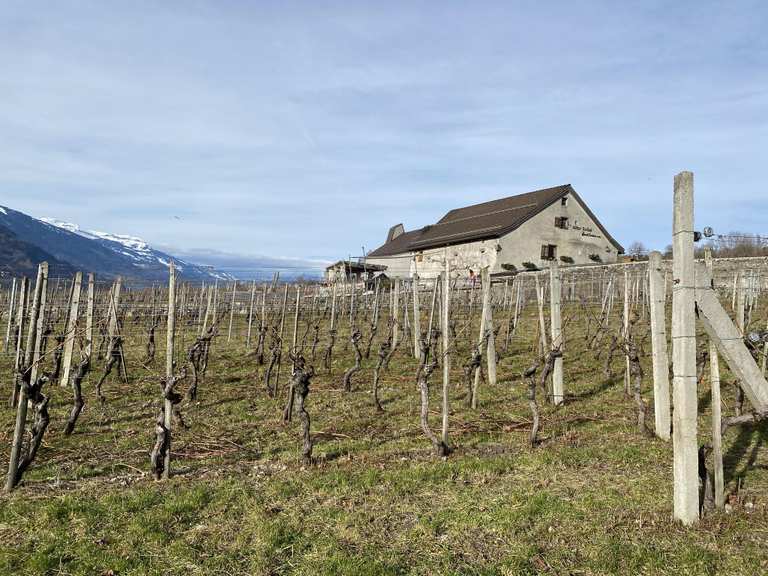 Alter Torkel Jenins: Wanderungen und Rundwege | komoot