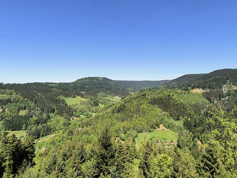 Haberer Turm: Wanderungen und Rundwege | komoot