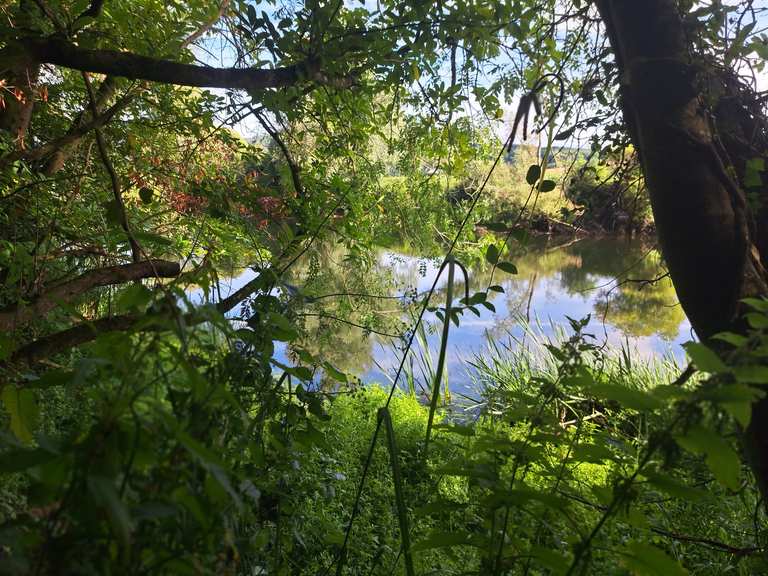 Marlfield Forest Recreational Area: Wanderungen und Rundwege | komoot