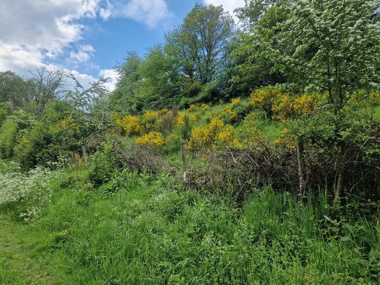 Pond Routes for Walking and Hiking | Komoot