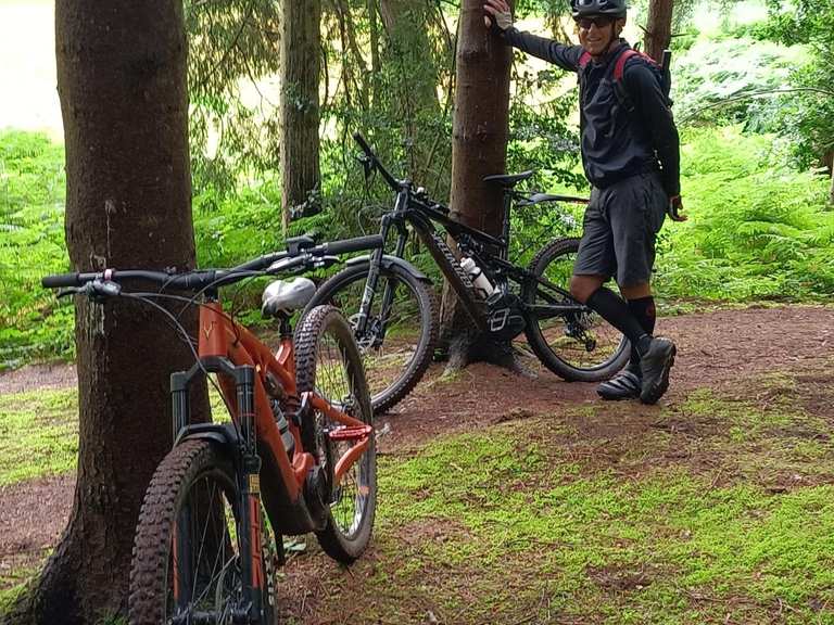 Comer Woods MTB-Routen: Mountainbike-Touren und -Trails | komoot