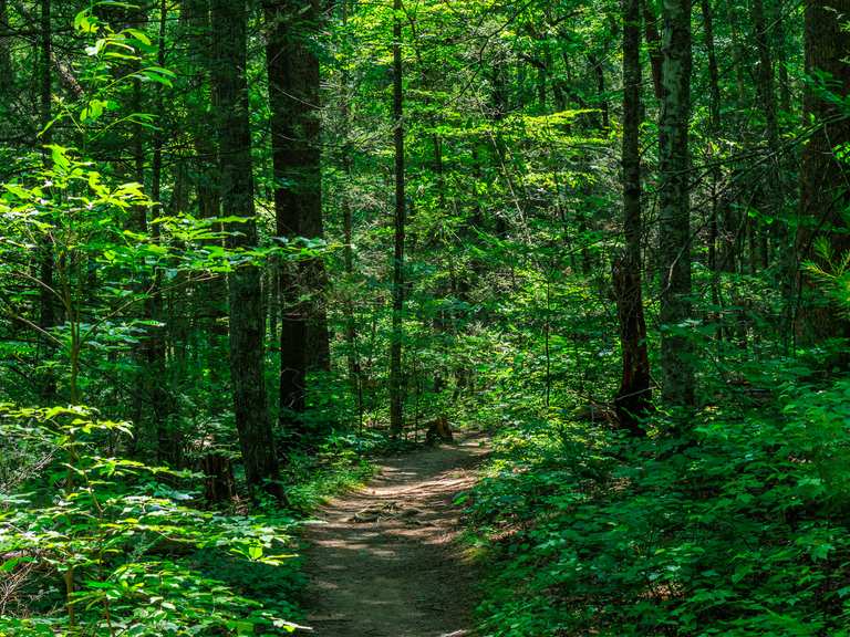 North Loop Trail — Roaring Run Natural Area | Wanderung | Komoot
