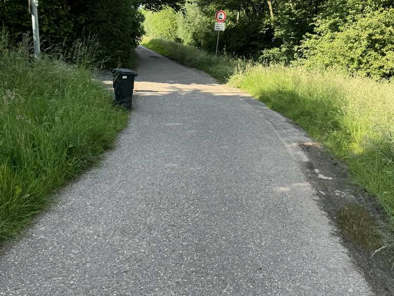 MTB Route Through the Fields to the Flower Shop – Cycling Routes & How ...