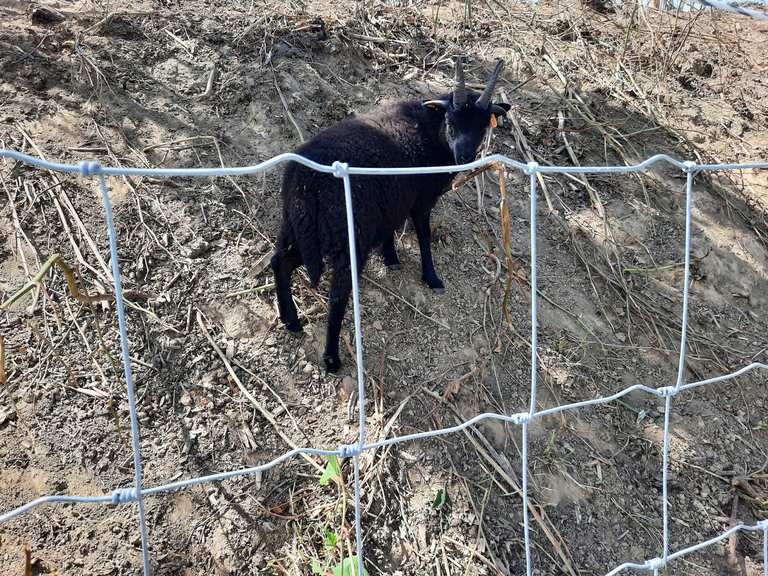 Fahrrad-Denkmal, Parike. : Radtouren und Radwege | komoot