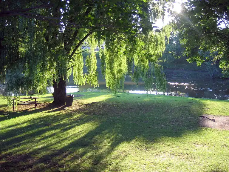 Mohawk Hudson Bike Hike Trail & New York Bike Route 9 loop — Albany ...