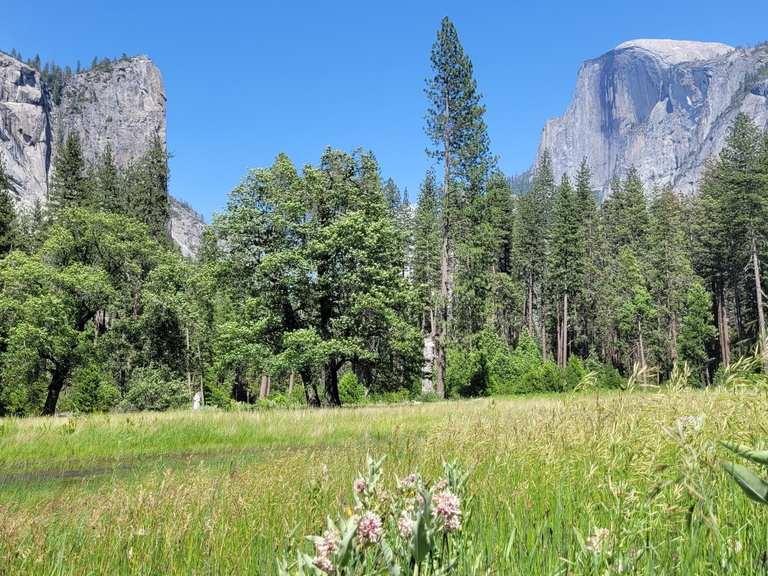 Full Yosemite Valley Bike Path loop — Yosemite National Park ...