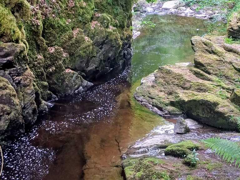Waterfall at Moness Burn Routes for Walking and Hiking | Komoot