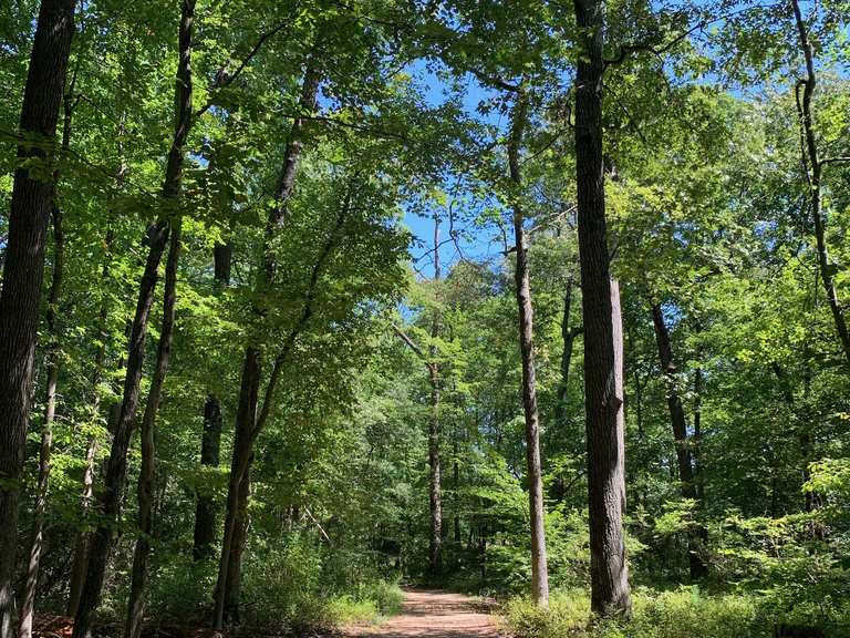 Forest Trail loop — Patuxent Research Refuge | hike | Komoot