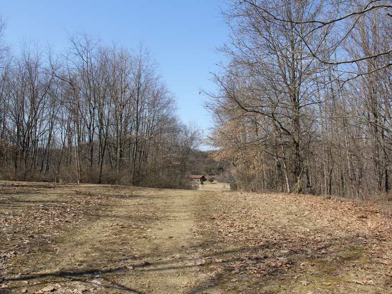 Handlers Long Haul Trail & College Lodge Road loop — Yellow Creek State ...