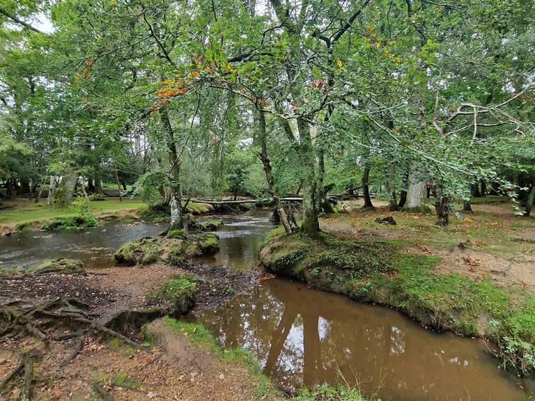Black Knowl, New Forest National Park - Cycle Routes and Map | Komoot