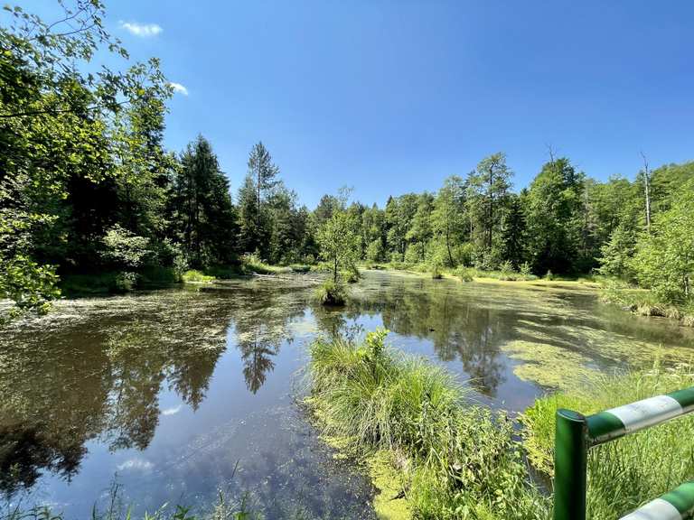 Rota "Śródborze" (loop): Kozienicki Park Krajobrazowy | trilha | komoot