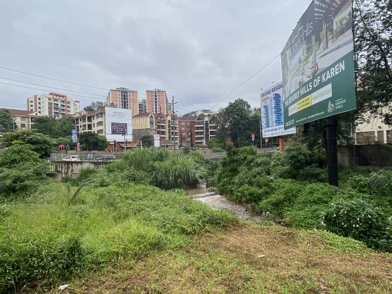 Nairobi Arboretum - Kenya, undefined | Course à pied - Incontournable ...