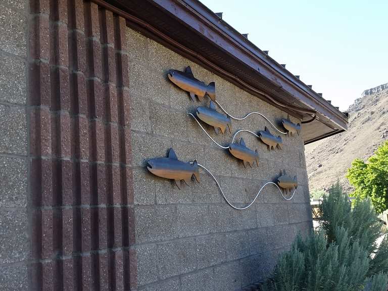 River Canyon Trail loop — Morley Nelson Snake River Birds of Prey ...