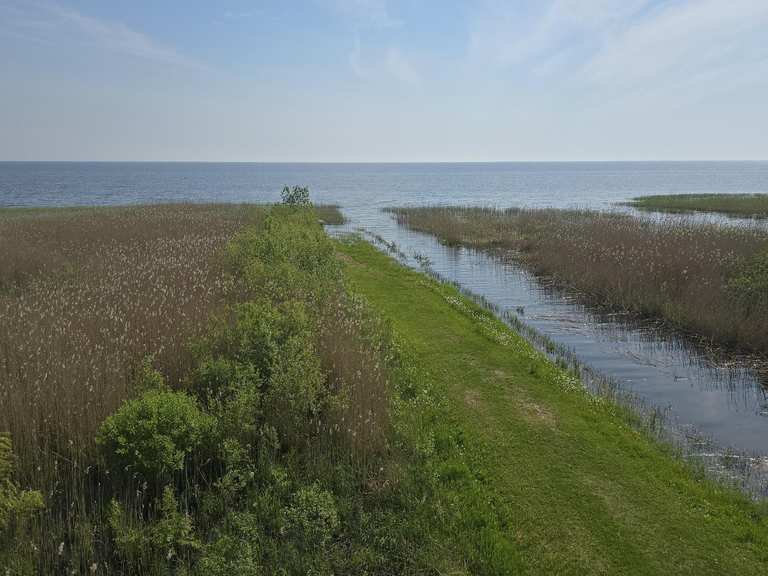 Acceso a la orilla del lago Peipus (Estonia): Rutas de senderismo y ...