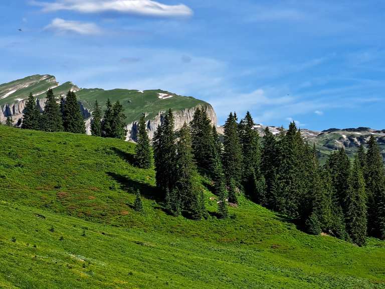 Great view of the Hohe Ifen Routes for Walking and Hiking | Komoot