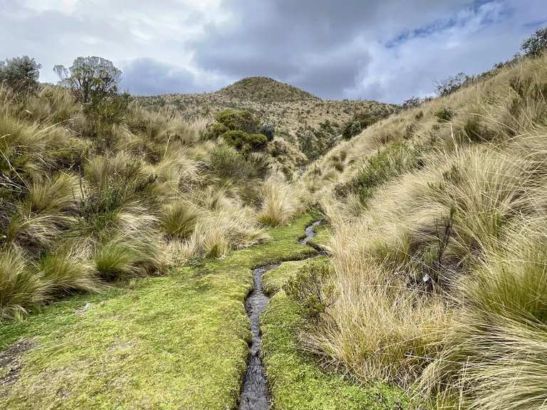 Laguna Limpiopungo – View of Limpiopungo Lake loop from Boliche | hike ...