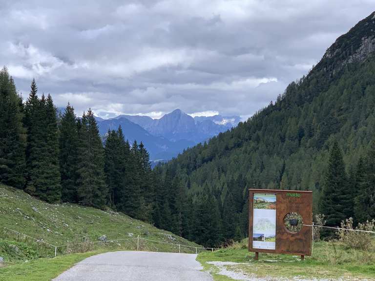 Passo del Cason di Lanza: Mountainbike-Touren und -Trails | komoot