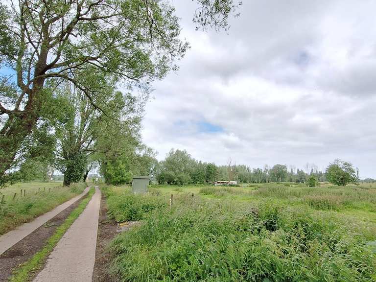 Verhard pad door groen gebied - fietsroutes en kaart | Komoot