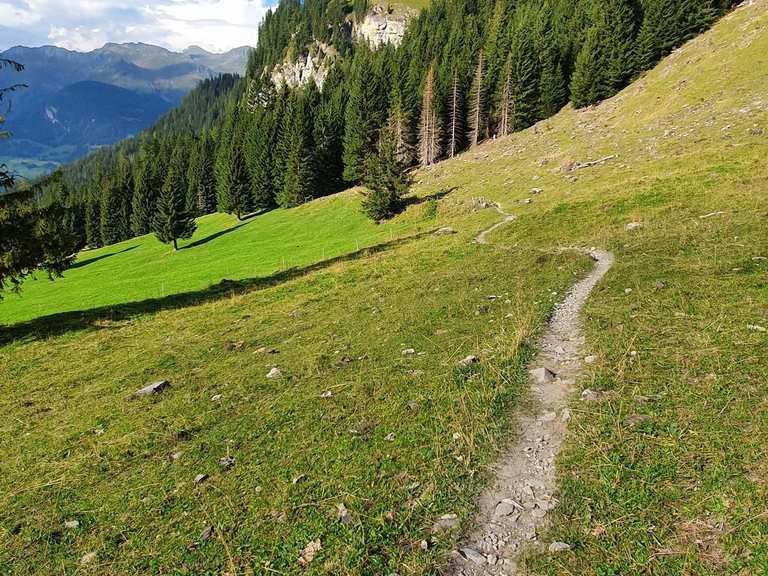 Enduro: Arosa - Hörnli - Molinis | mountain bike ride | Komoot