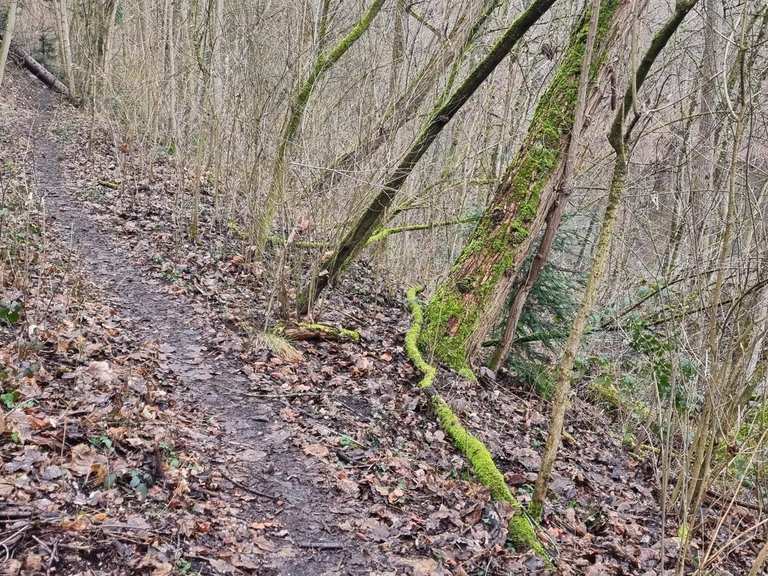 Pfad des Todes: Wanderungen und Rundwege | komoot
