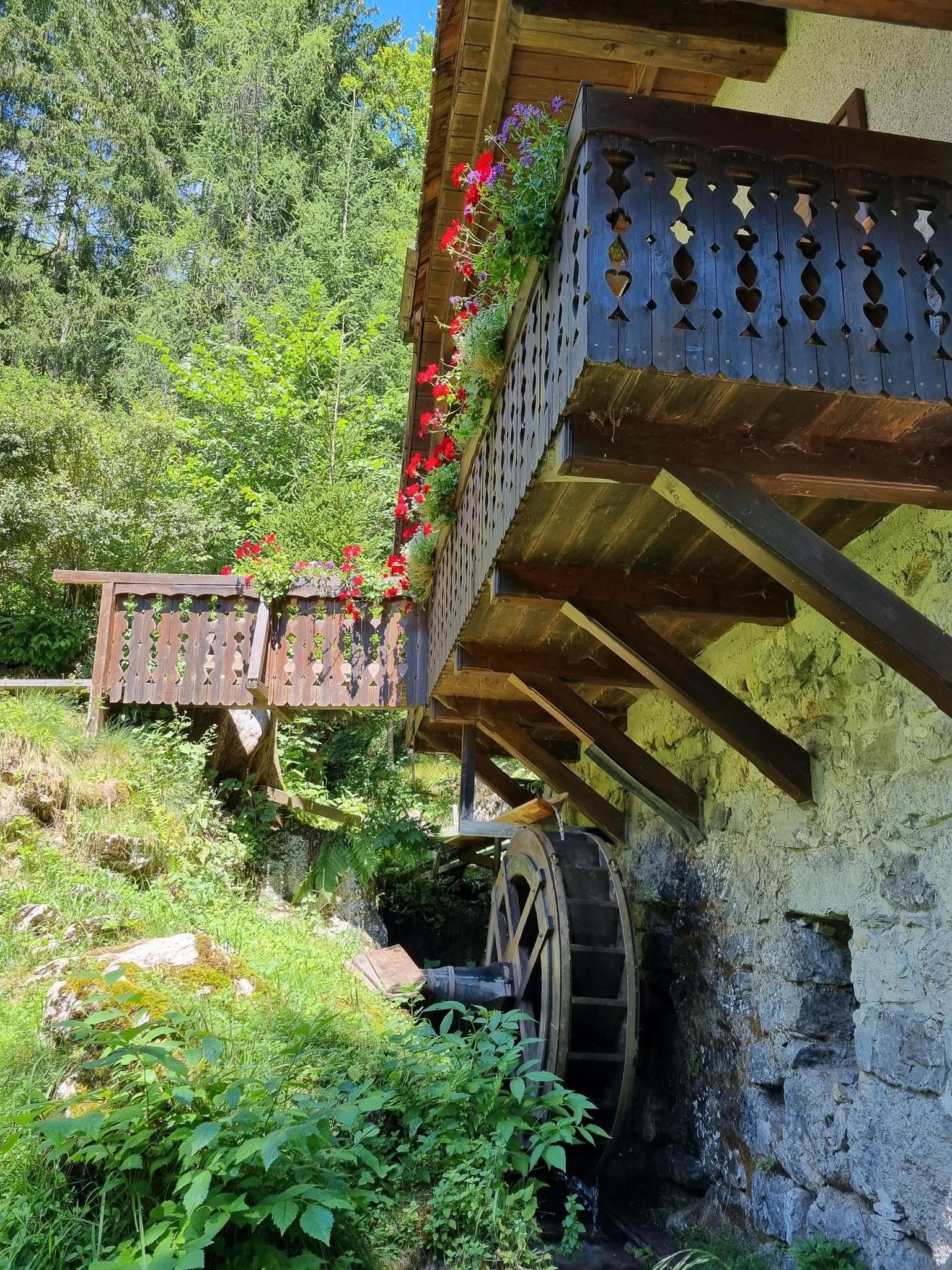 Einzigartig abgeschieden – Fernwandern auf dem Juliana Trail | Wander ...