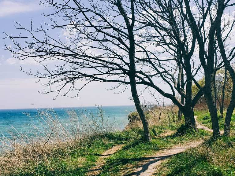 Oak Leaf Trail - Shore line – Abandoned Ladish Sand Pit loop from Baran ...