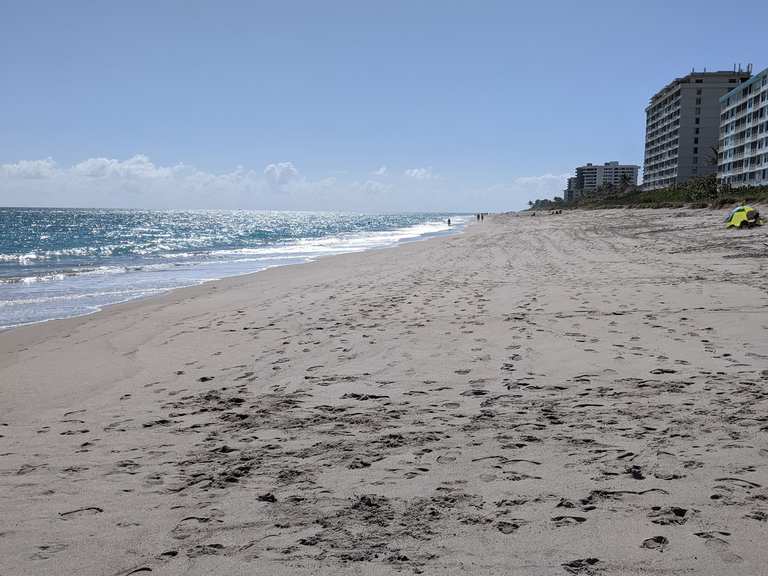 Loggerhead Park & Pelican Lake loop — Juno Beach, Florida | hike | Komoot