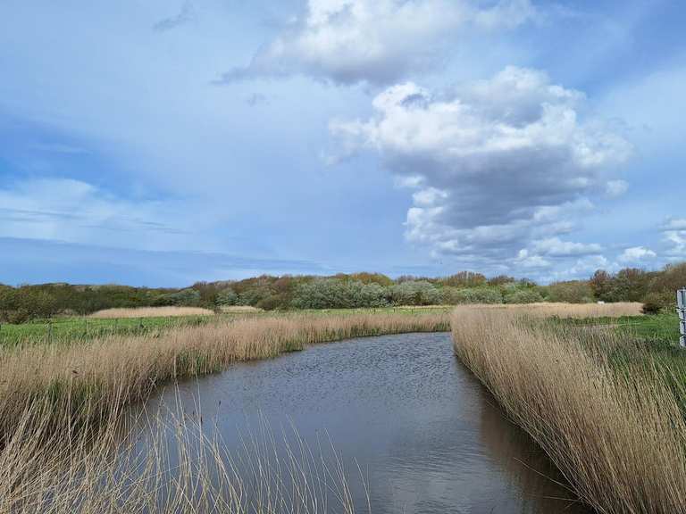 Raversijde met Atlantikwall : Radtouren und Radwege | komoot