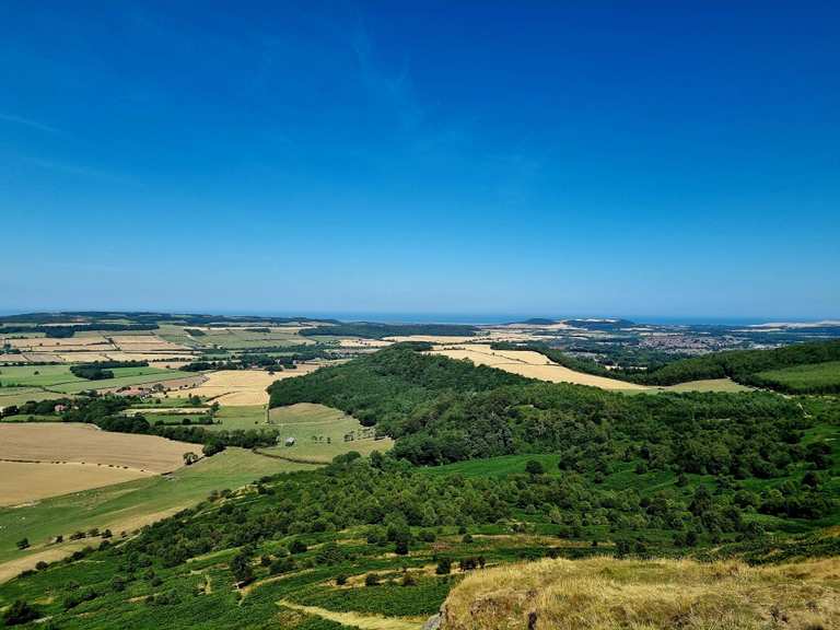 Cliff Rigg Quarry & Roseberry Topping loop from Newton-under-Roseberry ...