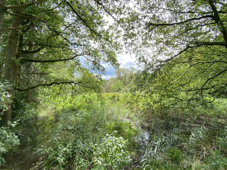 Hobos - wandelroutes en hikes | Komoot