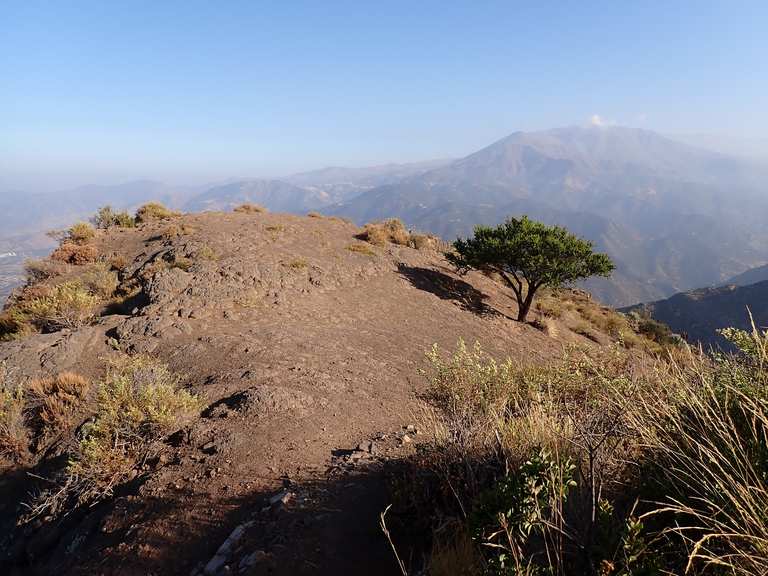 Subida al Cerro Pochoco desde Santiago – ida y vuelta | hike | Komoot