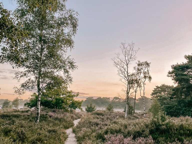 Wandelroute 'Duin' – Nationaal Park Grenspark Kalmthoutse Heide ...