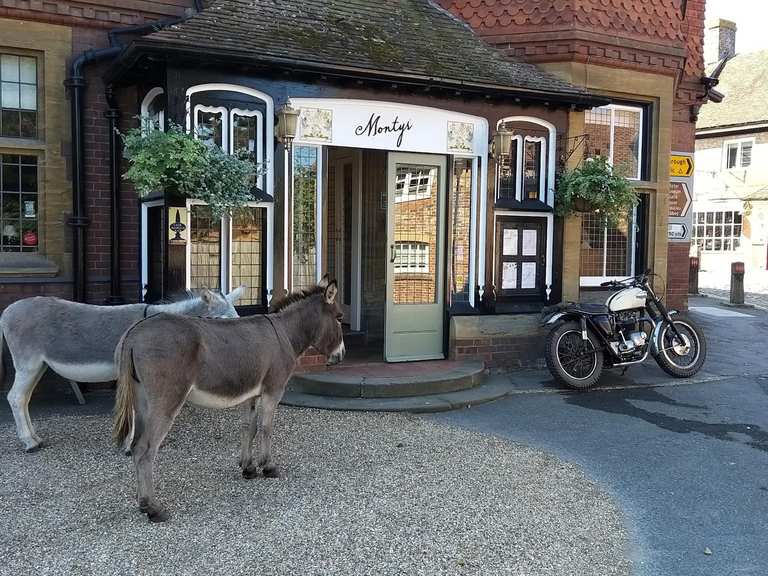 Lymington River – Mill Dam loop from Fox Pond | bike Tour | Komoot