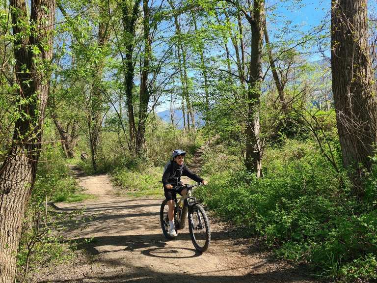 Mountain Bike Jump Practice Area – Cycling Routes & How to Get There ...