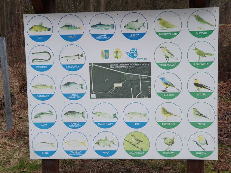 Groble: Mountainbike-Touren und -Trails | komoot