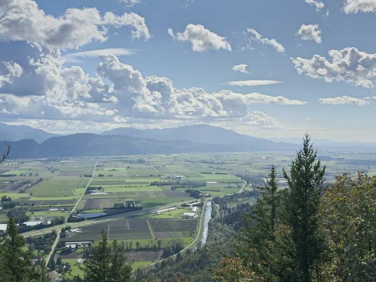 Abby Grind Trail — Sumas Mountain Regional Park | escursione | komoot