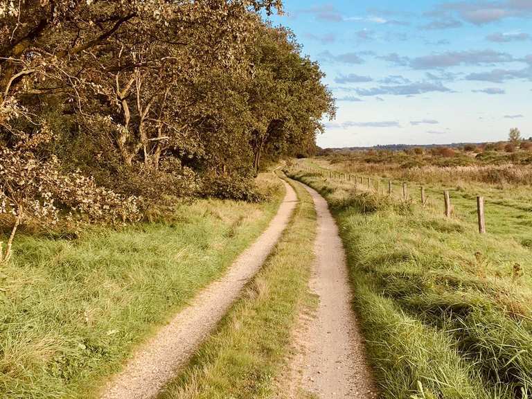 Domaine De Hamert - Parc national De Maasduinen | randonnée pédestre ...