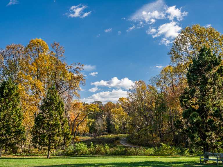 Tatum Park: Wanderungen und Rundwege | komoot
