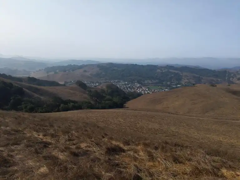 Black Phoebe, Whipsnake & Windmill Trail loop — Fernandez Ranch ...