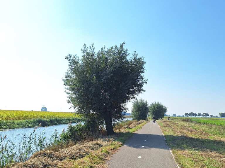 Punto de descanso junto a la Breede vaart : Rutas de cicloturismo | Komoot
