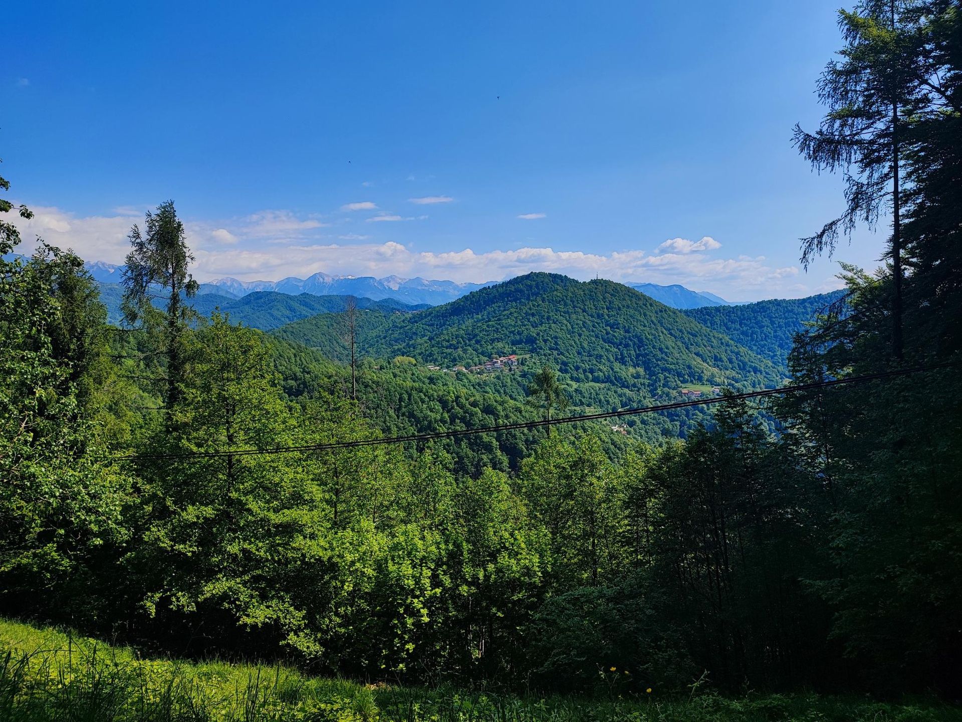 Einzigartig abgeschieden – Fernwandern auf dem Juliana Trail | Wander ...