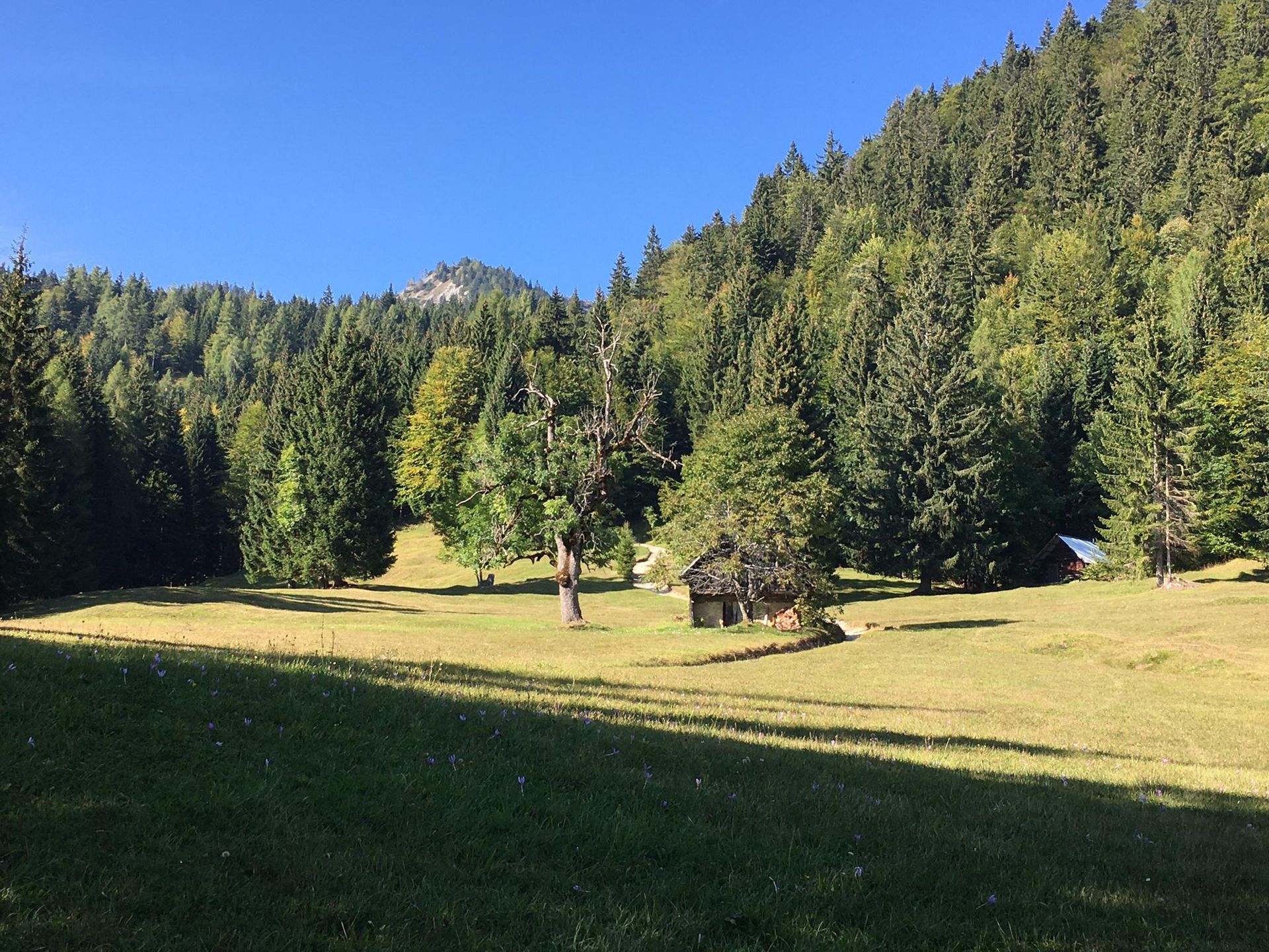 Einzigartig abgeschieden – Fernwandern auf dem Juliana Trail | Wander ...